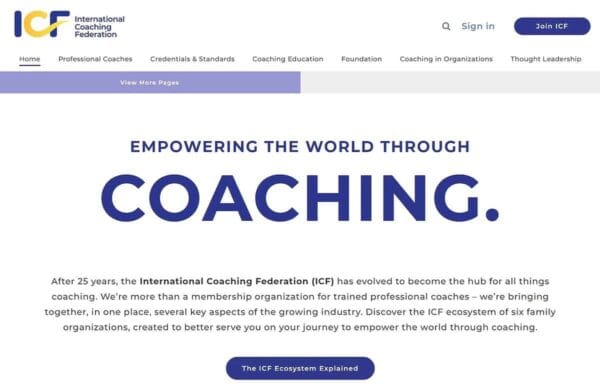 How To Be An Online Executive Coach: A Simple Guide - AccessAlly